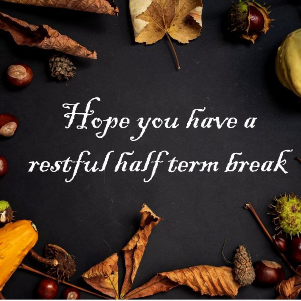 Waverley Studio College - Half Term Letter