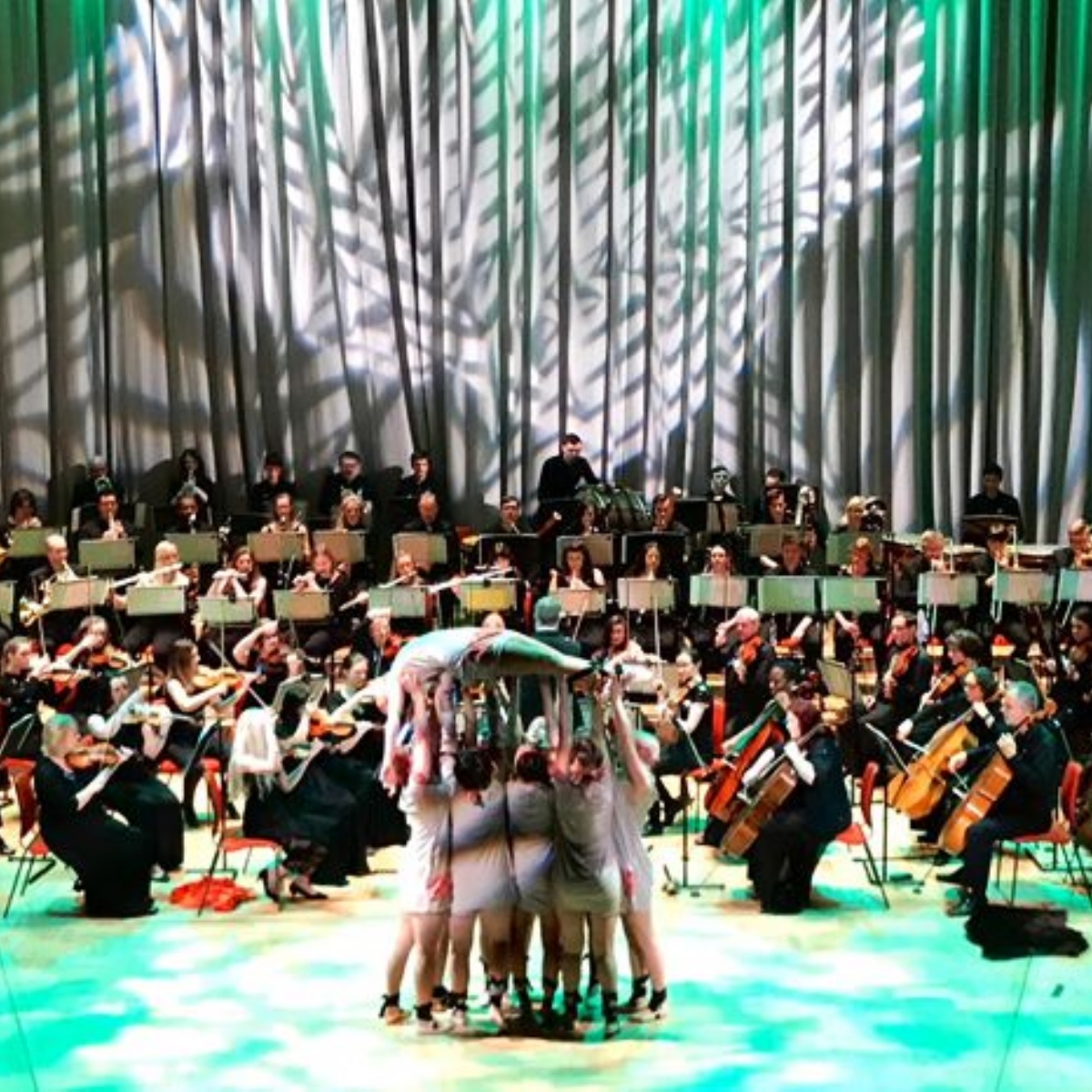 Waverley Studio College - Kimichi Symphony Orchestra